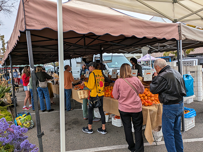 Dana Point's Farmers Market proves that shopping for produce can be a social event, where conversations flow as freely as samples of local honey.