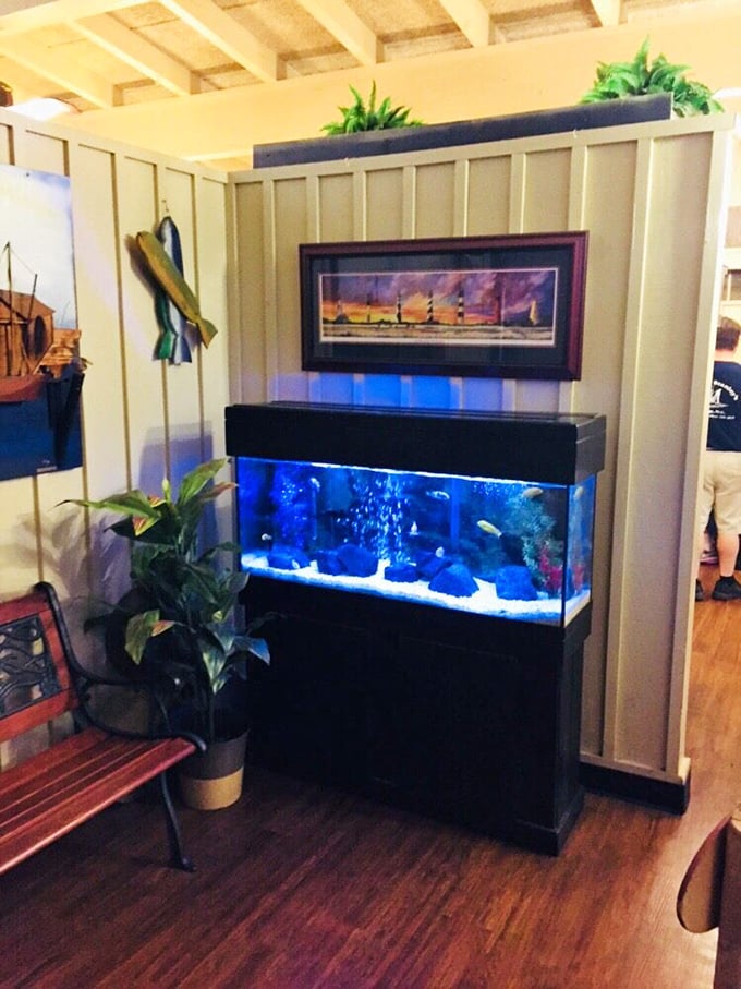 That fish tank isn't just decor—it's a reminder that your dinner had relatives, swimming blissfully while you contemplate the circle of delicious life.