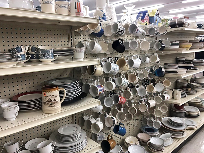 Mugs hang like bats in a cave of caffeine possibilities, each one with a story and possibly someone else's lipstick stain.