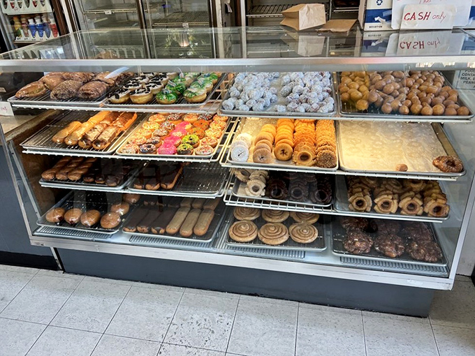 The display case: a museum of fried magnificence where every shelf tells a different sweet story. Choosing just one feels criminal.