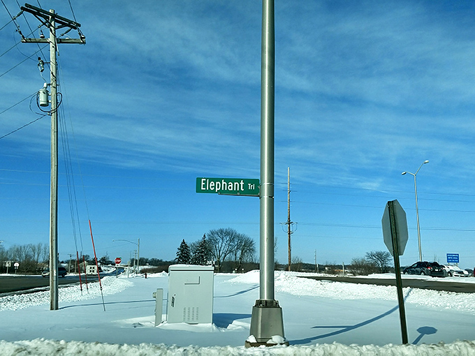 When they name a trail after you, you know you've made it. Elephant Trail &ndash; where navigation meets whimsy.