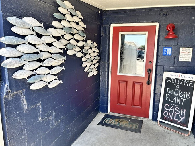 The school of metal fish swimming across the navy blue wall welcomes you to a place that truly understands its oceanic mission.