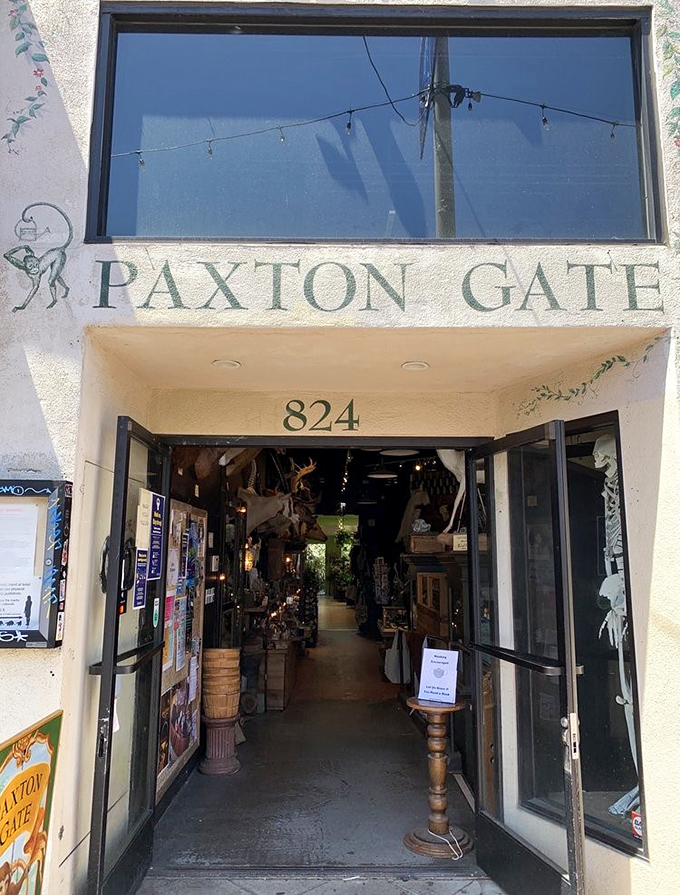 Step through these doors and leave the ordinary world behind. The entrance to Paxton Gate promises adventure for the naturally curious.