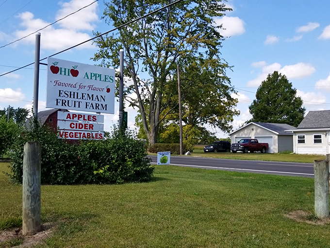 Eshleman Fruit Farm brings farm-fresh produce within easy reach, where seasonal apples and cider become part of the rhythm of small-town retirement living.