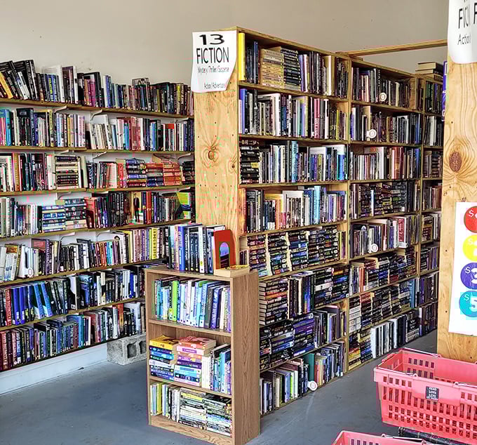 The fiction section: where Sandra Brown thrillers sit beside literary classics in a democratic celebration of storytelling. 