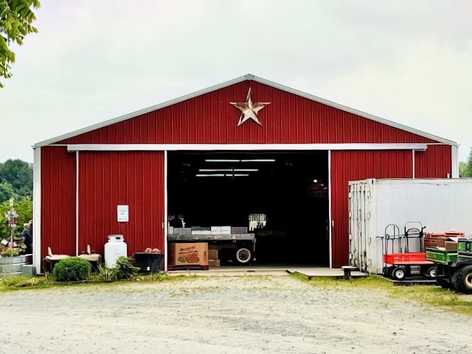 That classic red barn at Filasky's Produce isn't just photogenic—it's functional. Fresh local produce awaits beneath that silver star.