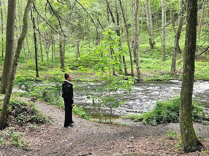 Beyond the main attraction, peaceful streams meander through sun-dappled forests, offering moments of tranquility between waterfall views.