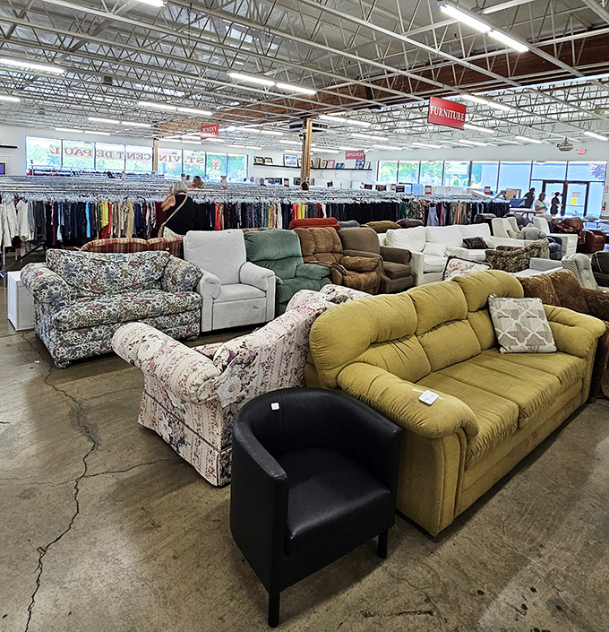 The living room lineup where couches compete for your attention. That mustard yellow number is either hideous or the perfect statement piece&mdash;you decide.