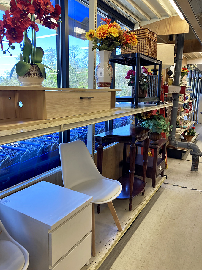 Window-side furniture displays bathed in natural light&mdash;from mid-century side tables to modern chairs, each piece awaits its next chapter.