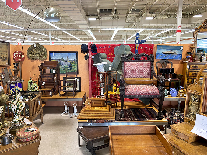 A furniture vignette that spans decades and styles. That Victorian chair has seen things your modern IKEA pieces couldn't imagine.