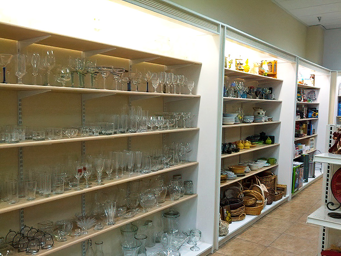 Crystal, glass, and ceramic treasures line the shelves, waiting to elevate dinner parties without emptying your wallet.