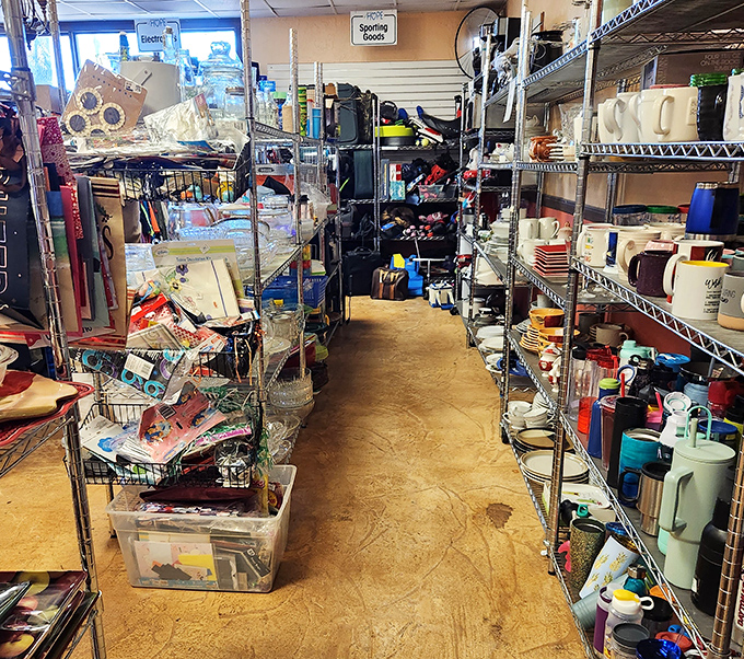 The housewares aisle: where kitchen dreams and storage solutions meet. Like an archaeological dig for practical treasures your grandmother would approve.