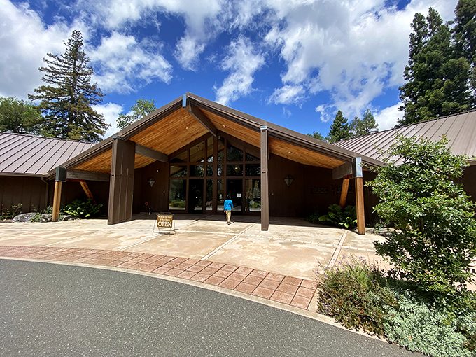 The striking architecture of the Grace Hudson Museum houses cultural treasures that tell Mendocino County's rich stories through art and artifacts.