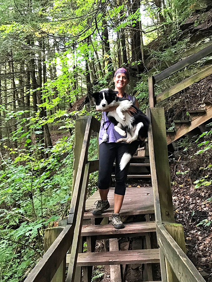 The best hiking companions have four legs and don't complain about the trail. This pup's living the Pennsylvania dream one paw at a time.