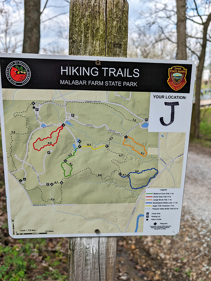 Trail maps: the original GPS system that never loses satellite connection or needs charging. Just don't drop it in a puddle!