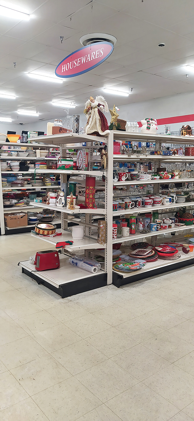 Kitchen dreams are born in the housewares section, where forgotten toasters and vintage Pyrex find new purpose in second-chance kitchens.