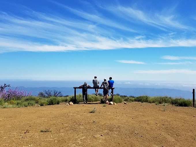 At Howard Creek Trail's vista point, hikers are rewarded with panoramic views that make those uphill stretches worth every labored breath.