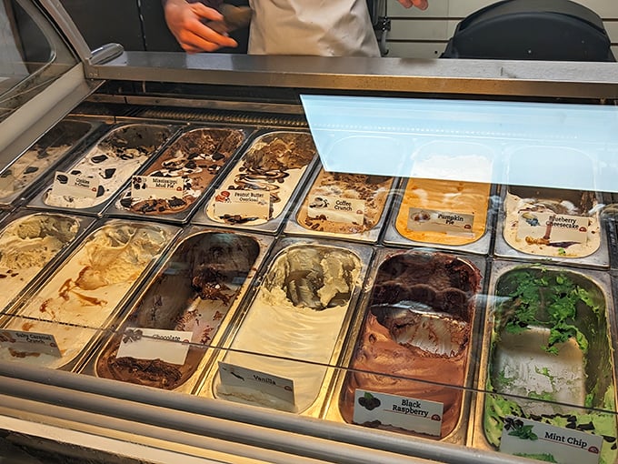 The ice cream selection offers flavors that would make Willy Wonka jealous. That mint chip is practically winking at you.