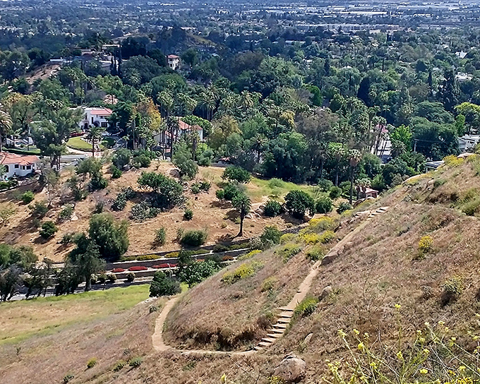 From Idyllwild's heights, the valley below unfolds like a patchwork quilt of civilization, reminding you just how far you've climbed.