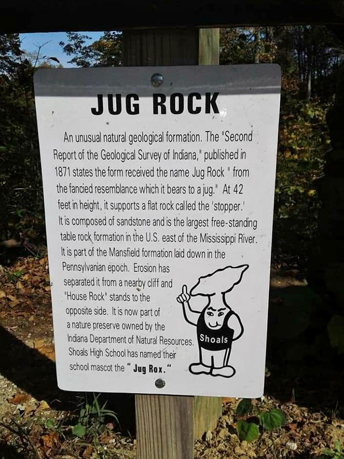 Educational signage explains the science behind what your brain insists shouldn't be standing there.