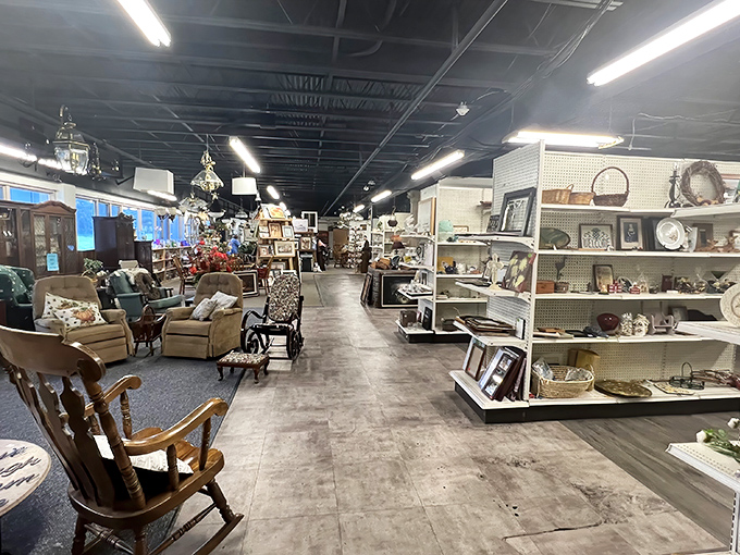 Wide aisles and thoughtful displays make browsing a pleasure rather than a treasure hunt through chaos—retail therapy without the retail prices.