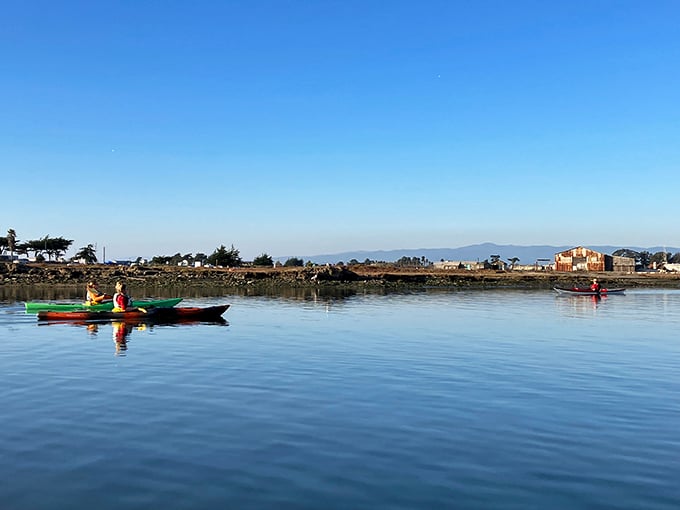 Serenity by paddle power. Kayakers glide across glass-like waters, experiencing the harbor's rhythm at the perfect pace&mdash;slow enough to notice everything.