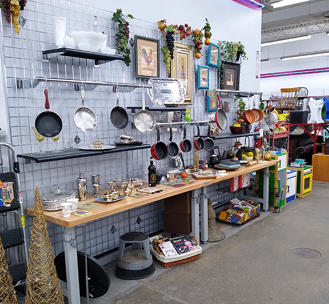 Kitchen gadgets and cookware promise to transform ordinary meals into extraordinary culinary adventures again.