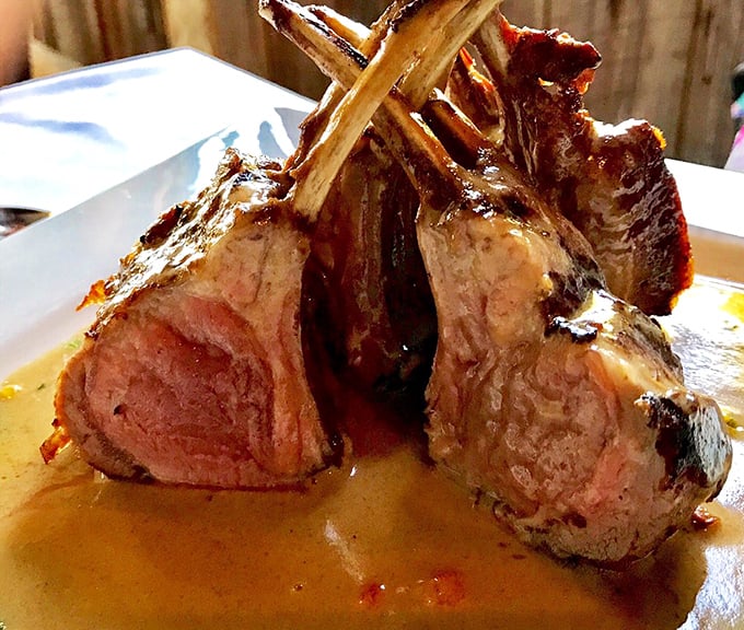 Lamb chops arranged like the world's most delicious crown, glistening with jus that's practically begging to be sopped up with bread.