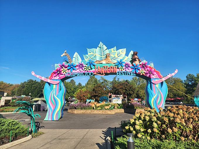 The Columbus Zoo's Lantern Festival transforms ordinary pathways into extraordinary journeys through light and color &ndash; magical evenings just a drive away.