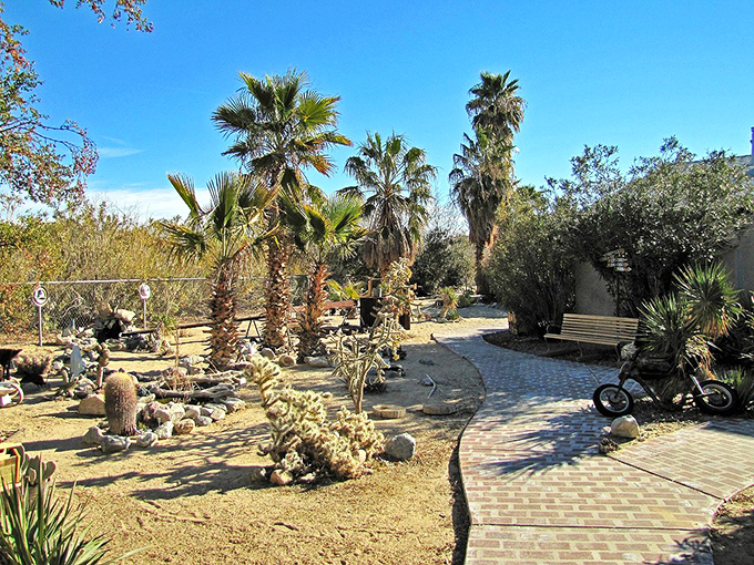 Desert landscaping at its finest&mdash;where palm trees provide shade and cacti stand guard, creating an oasis that requires minimal watering but delivers maximum charm.
