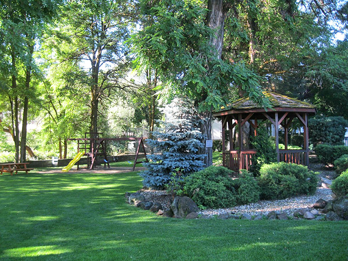 Local parks here understand that sometimes the best entertainment is simply a bench and shade.