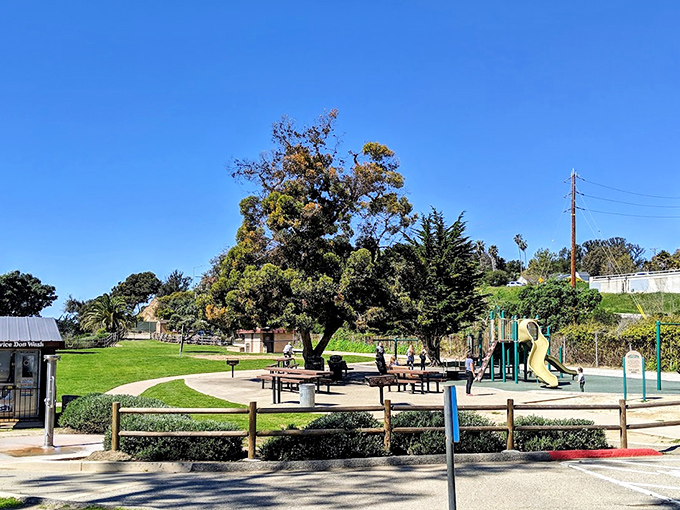 Lookout Park delivers exactly what its name promises &ndash; a perfect vantage point for ocean gazing, picnicking, and pretending you live here.