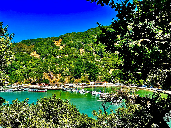 The emerald hillsides and sapphire waters create a color palette that would make even the most jaded landscape painter weep with joy.