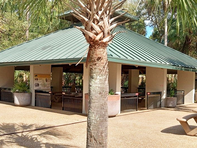 The visitor center where modern convenience meets old Florida charm under swaying palm trees.
