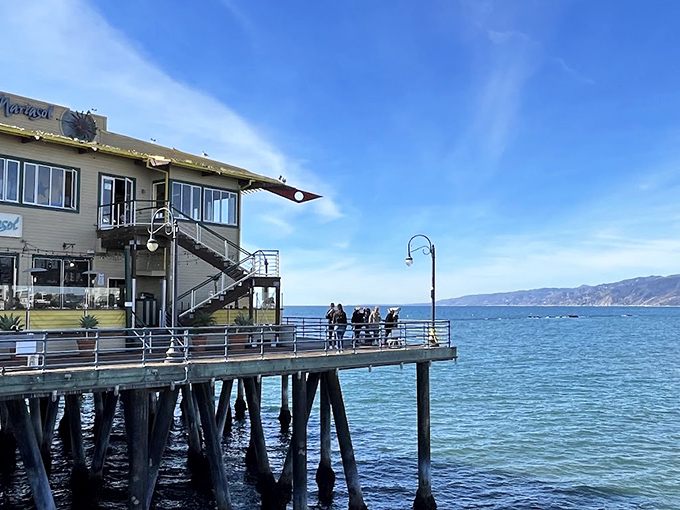 Ocean-facing dining where conversations pause mid-sentence as everyone collectively appreciates that this view outshines any menu item.