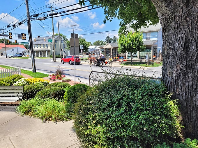 Small-town charm with a side of horse-drawn transportation. The pace here is deliberate, the scenery straight from a Norman Rockwell painting.