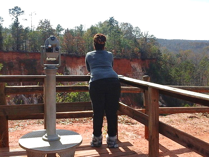The observation deck provides that perfect "pinch me" moment when you realize you're still in Georgia.