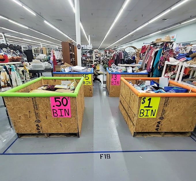 Bargain bins filled with fifty-cent and dollar treasures prove that great deals still exist in America.