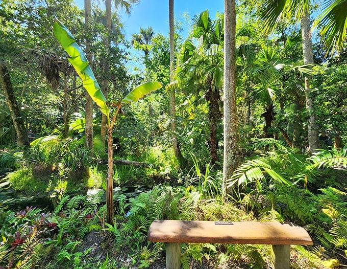 A simple bench offers the perfect spot to pause and absorb the symphony of greens. Sometimes the best garden view requires sitting still.