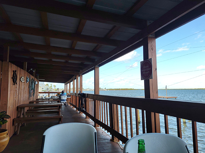 The covered deck offers front-row seats to nature's aquatic theater. Dolphins occasionally make guest appearances during lunch.