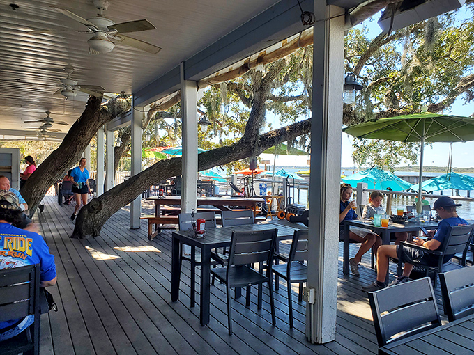 The outdoor deck embraces ancient oak trees, where dining under Spanish moss feels like a scene from a Southern fairy tale.