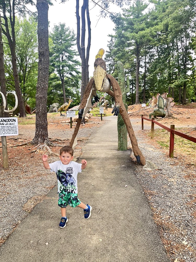 The well-maintained paths make dinosaur exploration accessible for adventurers of all ages, with prehistoric wonders around every turn.
