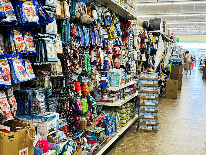 Pet parents rejoice! Toys, treats, and essentials for furry family members prove loving your pets doesn't require a second mortgage.