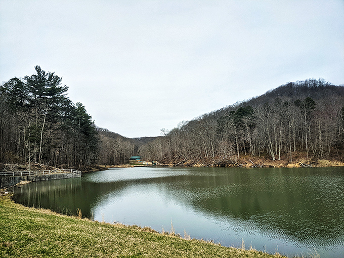 Autumn's reflection pool! Pine Lake captures the seasonal transformation, doubling the visual impact of nature's most colorful fashion show.