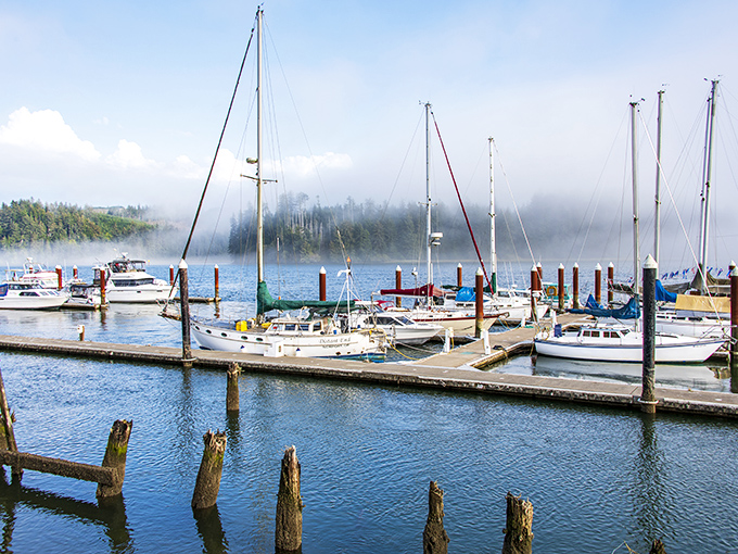 Morning fog plays hide-and-seek with sailboats at the Port of Siuslaw, creating a mystical maritime ballet.