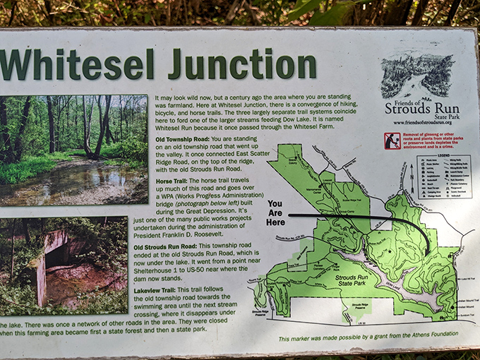 Trail maps become treasure maps when every path leads to another breathtaking vista worth the journey.