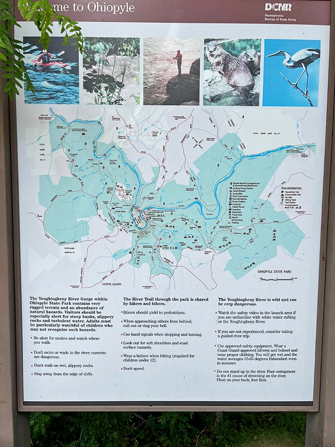 The treasure map to paradise. Unlike pirate legends, this one actually delivers on its promises of natural wonders around every bend.