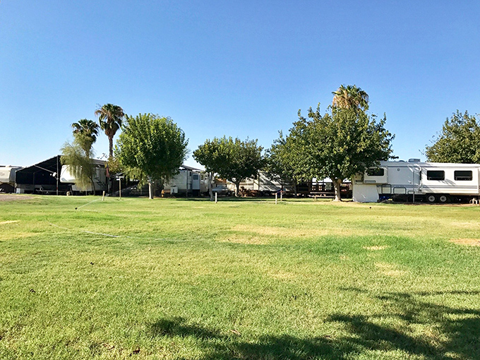 RV paradise where neighbors wave and nobody minds if you're still in pajamas at noon. Desert living with all the comforts of home on wheels.