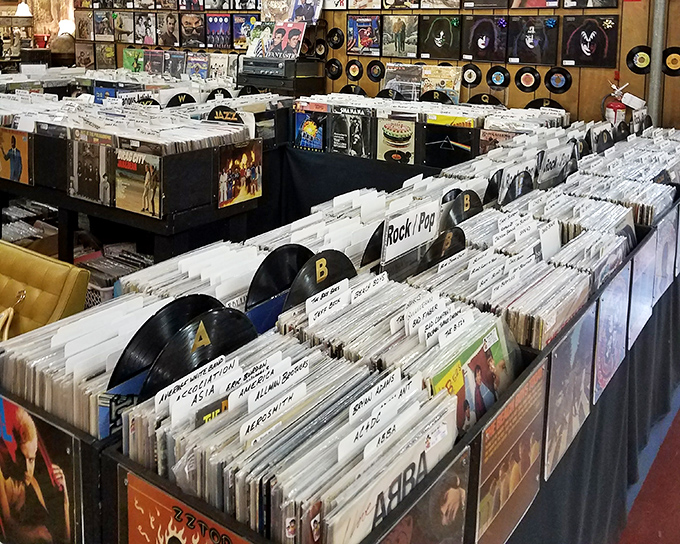 Vinyl paradise! Where music lovers can spend hours flipping through history, one album cover at a time.