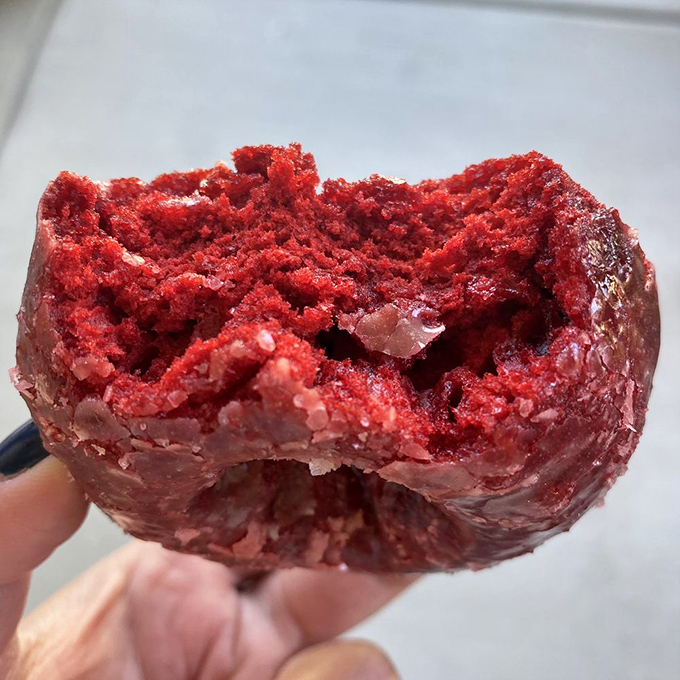 Red velvet cake donut with chocolate chips isn't just breakfast&mdash;it's dessert with an official morning passport. Live a little.